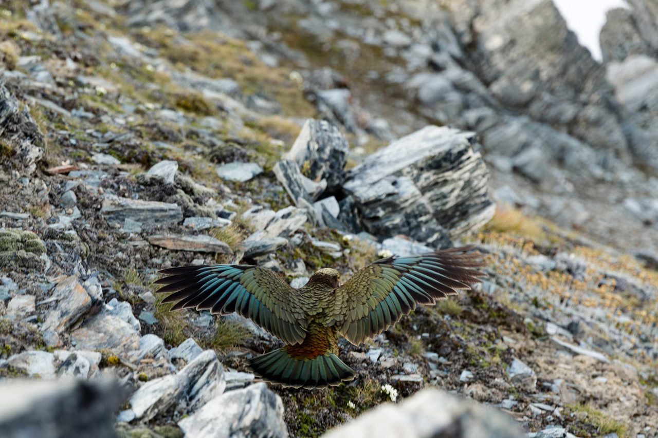 Lillian & Dean - Susan Miller Photography